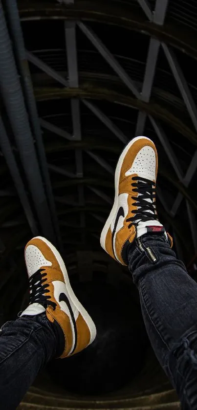 Stylish Sneaker Aerial View - free download