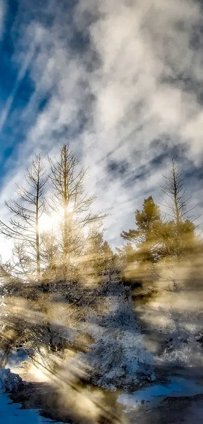Sunlit Winter Landscape Wallpaper - free download