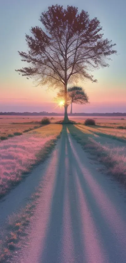 Sunset Tree Pathway - free download