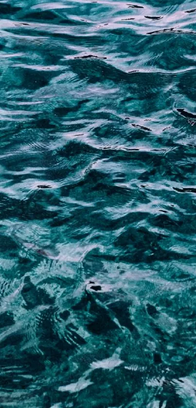 Tranquil Blue Ocean Waves - free download