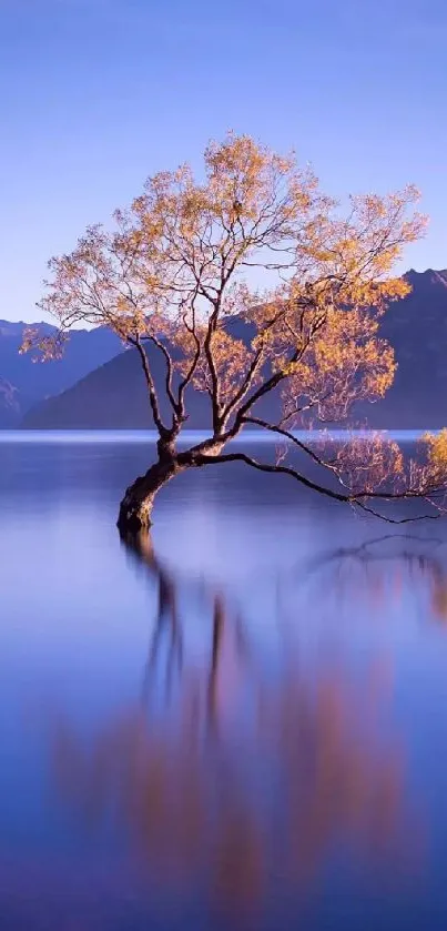 Tranquil Lake Tree Wallpaper - free download