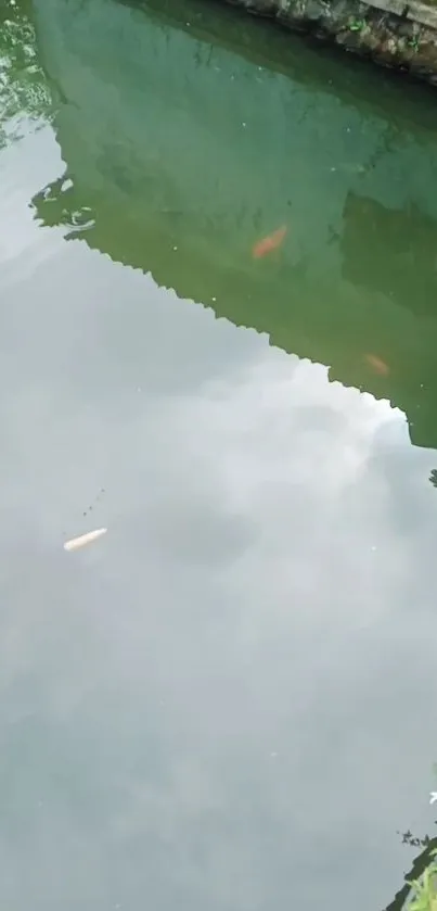 Tranquil Pond Reflection - free download