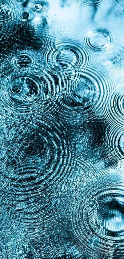 Tranquil Raindrop Ripples Wallpaper - free download