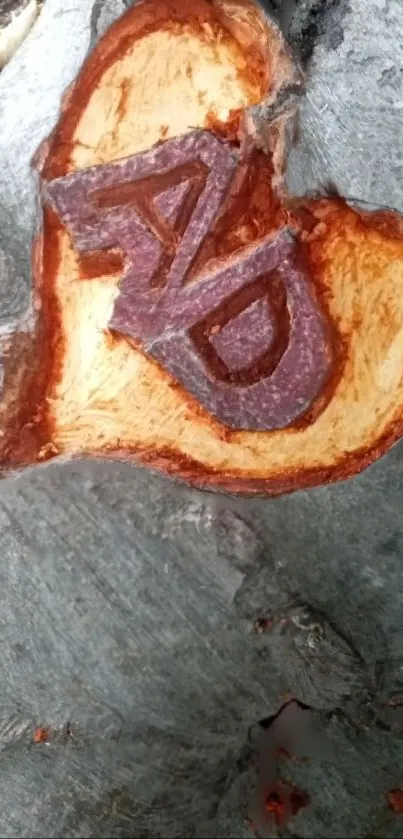 Tree Heart Carving Art Wallpaper - free download