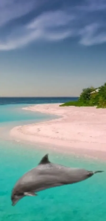 Tropical Dolphin Beach Vista - free download