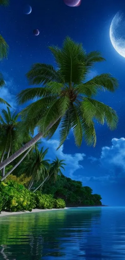 Tropical Night Sky Wallpaper - free download