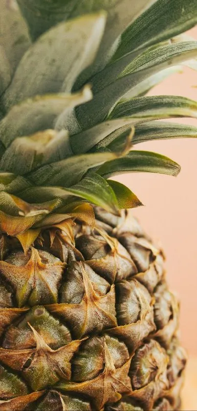 Tropical Pineapple Wallpaper - free download
