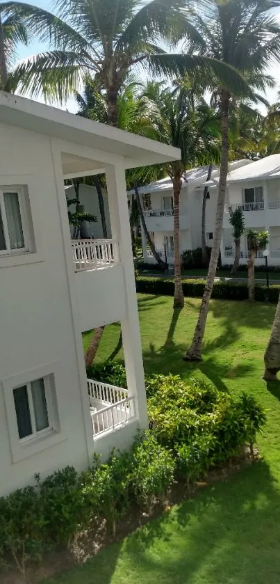 Tropical Resort Tranquility - free download