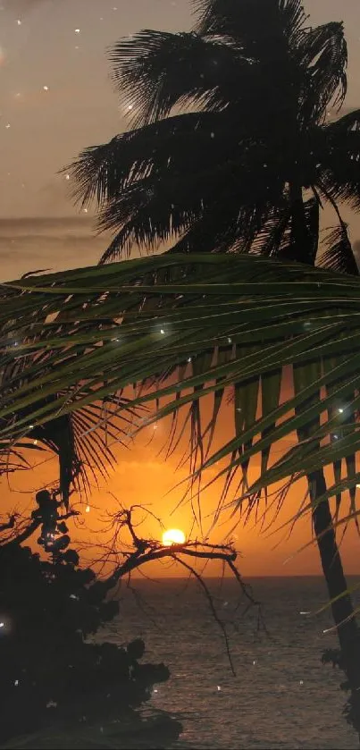 Tropical Sunset Mobile Wallpaper - free download