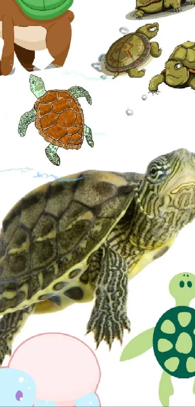 Turtle & Friends Mobile Visual - free download