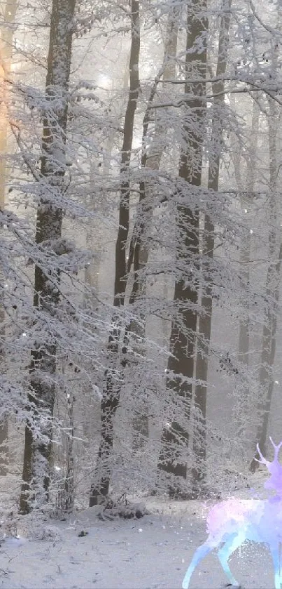 winter magic Live Wallpaper - free download