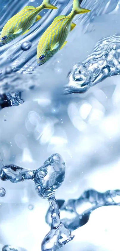 Underwater Fish in Clear Blue - free download