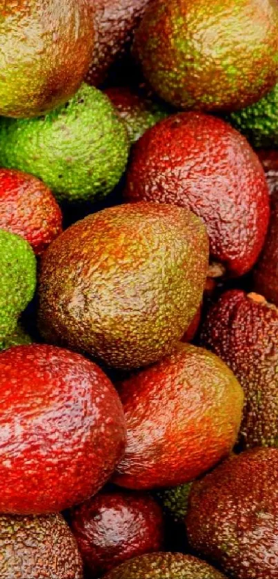 Vibrant Avocado Close-up Wallpaper - free download