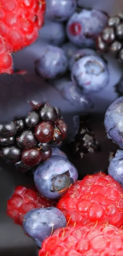 Vibrant Berry Mix Wallpaper - free download