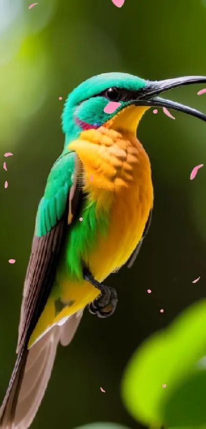 Vibrant Bird Close-Up Wallpaper - free download