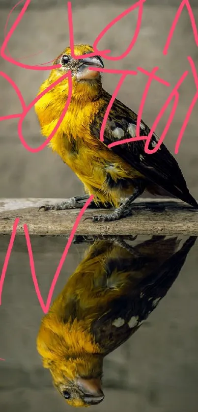 Vibrant Bird Reflection Art - free download