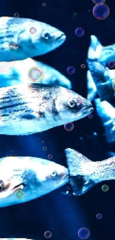 Vibrant Blue Fish Wallpaper - free download