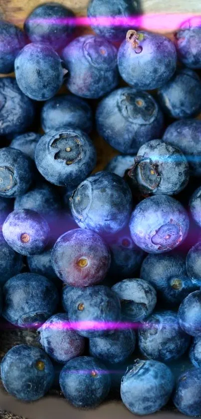 Vibrant Blueberry Neon Wallpaper - free download