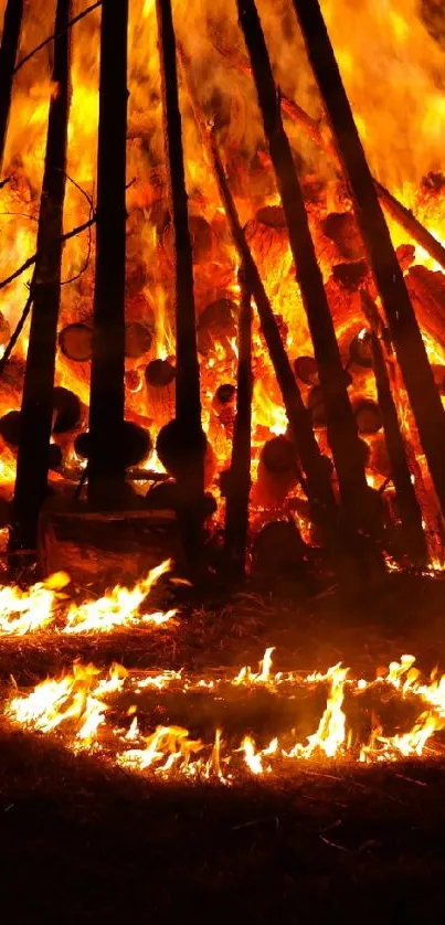 Vibrant Bonfire Night Wallpaper - free download