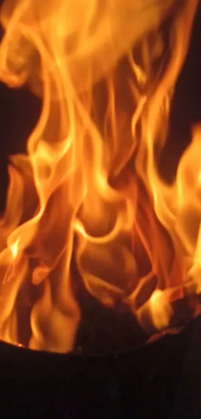 Vibrant Fire Flames Wallpaper - free download