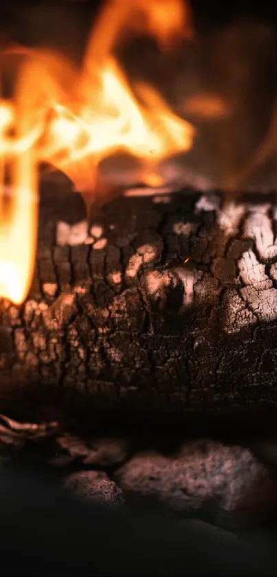 Vibrant Flames on Charred Wood - free download