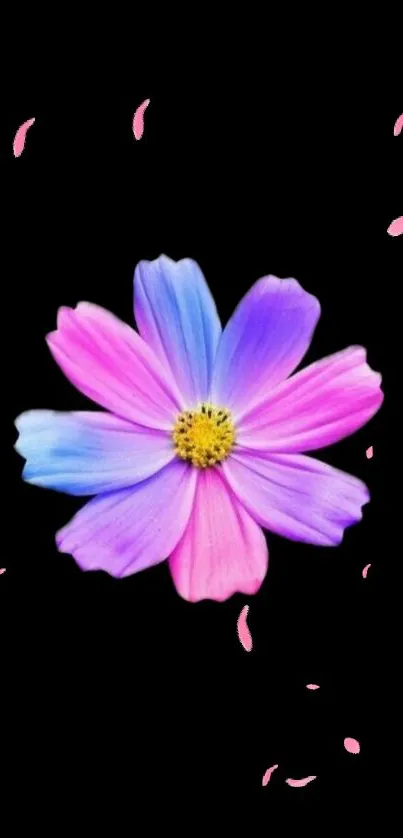 Vibrant Gradient Flower Wallpaper - free download