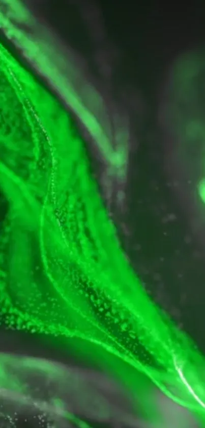 Vibrant Green Abstract Waves - free download