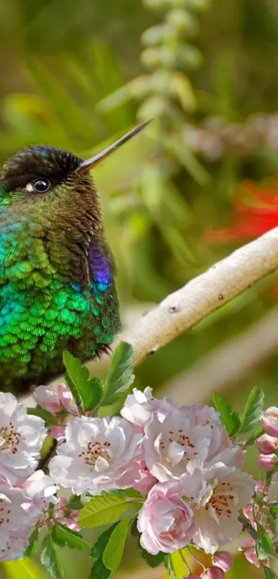 Vibrant Hummingbird Among Flowers - free download