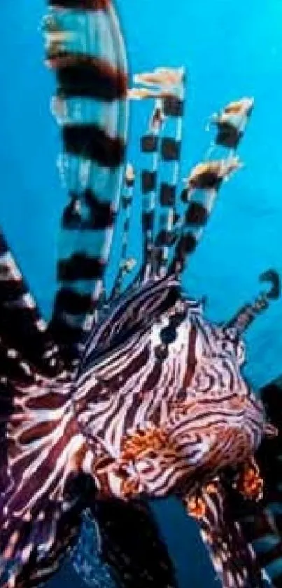 Vibrant Lionfish Underwater Scene - free download