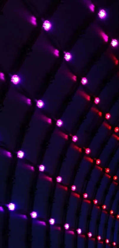 Vibrant Neon Light Display - free download