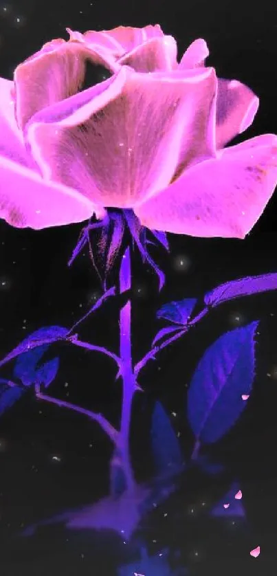 Vibrant Neon Rose Wallpaper - free download