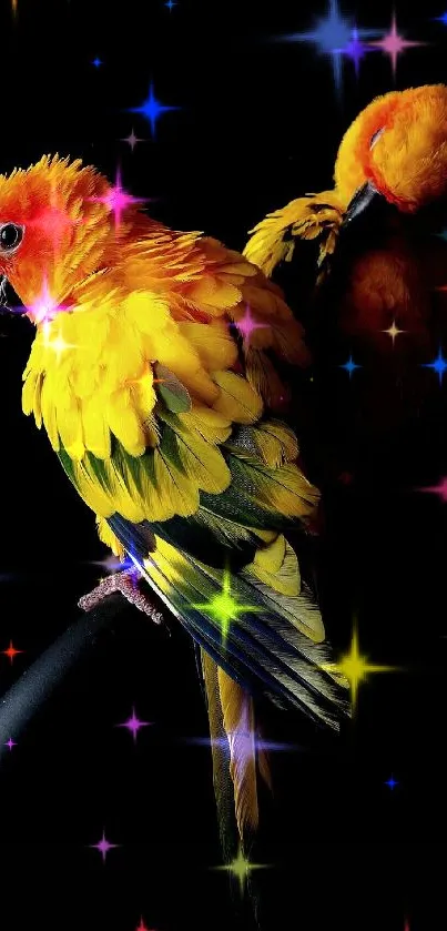Vibrant Parrot Phone Wallpaper - free download