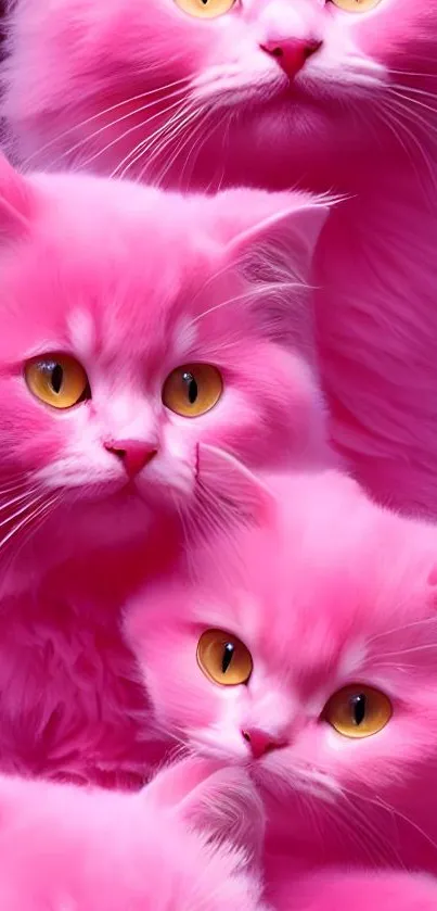 Vibrant Pink Cat Wallpaper - free download