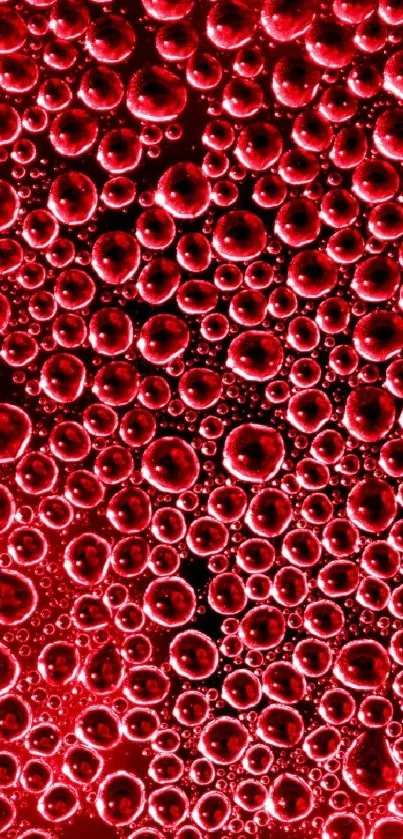 Vibrant Red Bubble Wallpaper - free download