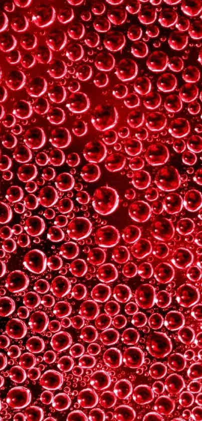 Vibrant Red Bubble Wallpaper - free download