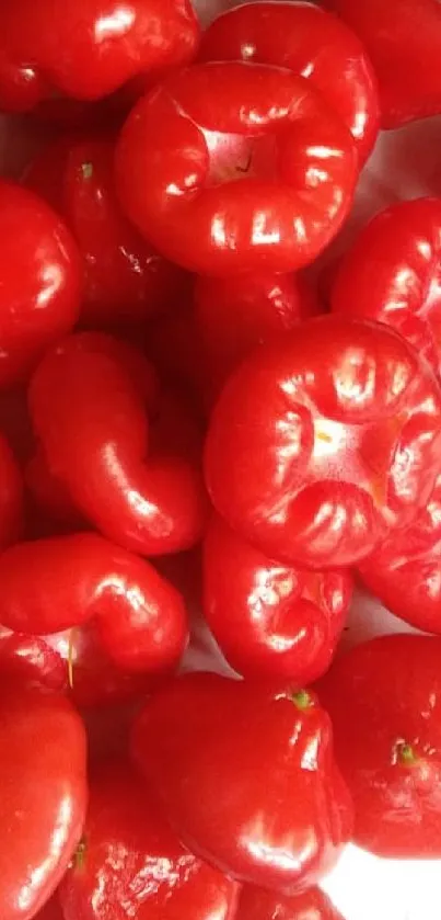Vibrant Red Fruits Wallpaper - free download