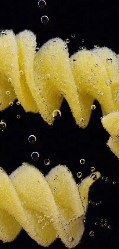 Vibrant Rotini Pasta Wallpaper - free download