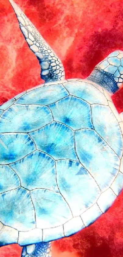 Vibrant Sea Turtle Wallpaper - free download