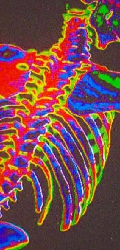 Vibrant Skeleton Art Wallpaper - free download