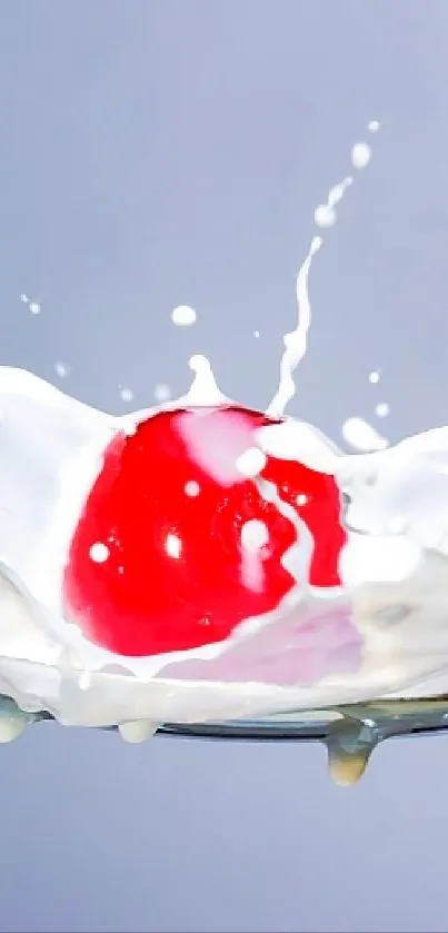 Vibrant Splash Wallpaper - free download
