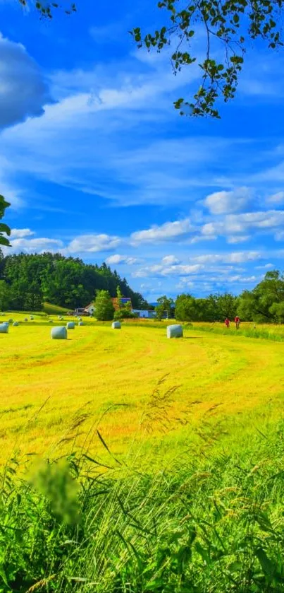 Vibrant Summer Field Wallpaper - free download