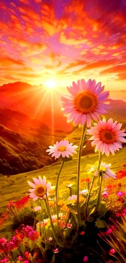 Vibrant Sunset Flower Fields - free download