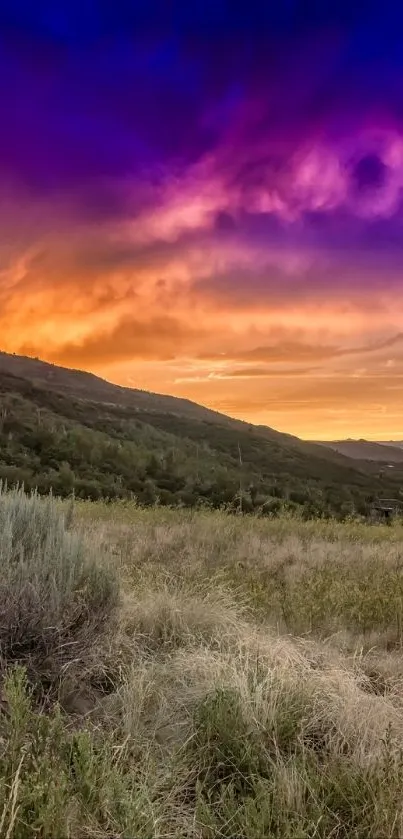 Vibrant Sunset Wilderness Landscape - free download