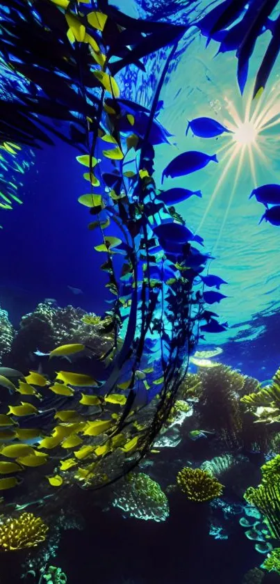 Vibrant Underwater Ocean Scene - free download