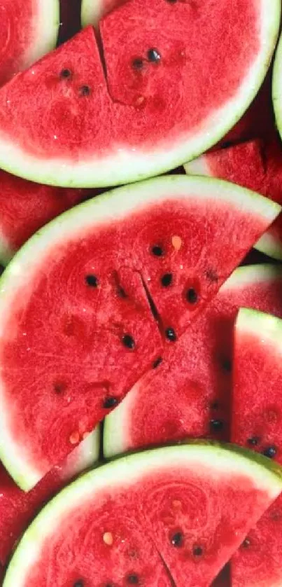 Vibrant Watermelon Slices - free download