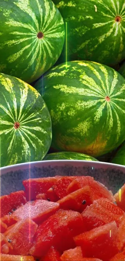 Vibrant Watermelon Wallpaper - free download