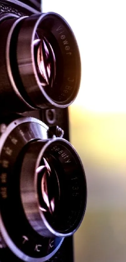 Vintage Camera Sunset Glow - free download