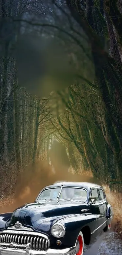 Vintage Car on Forest Road - free download