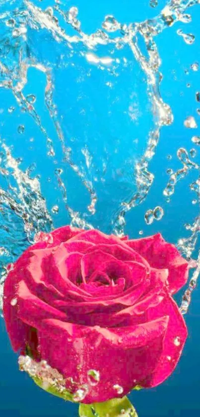 Vivid Rose Splash Wallpaper - free download