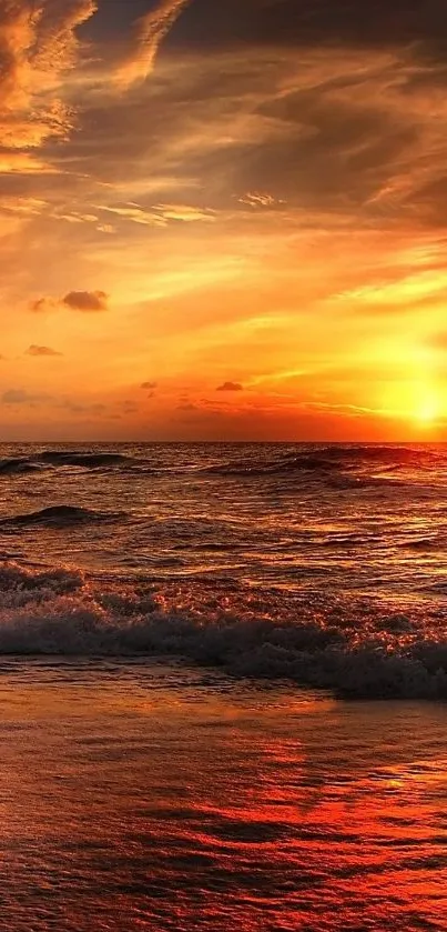 the sun set Live Wallpaper - free download